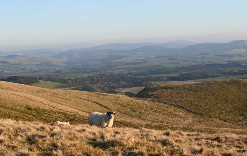 The Best Small Villages in Scotland | Garrington Property Finders Scotland